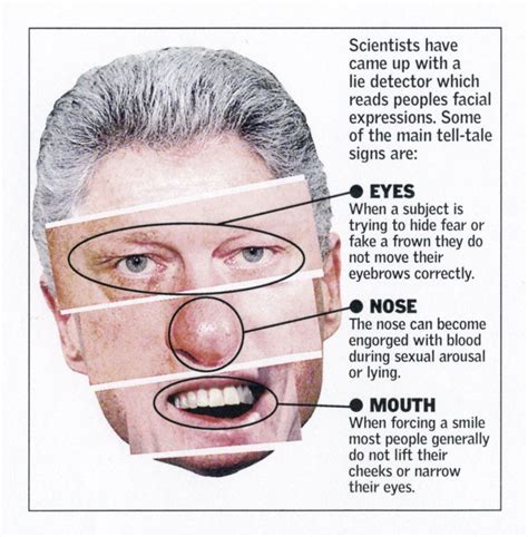 How Do Lie Detectors Know Your Lying At Gemma Nock Blog
