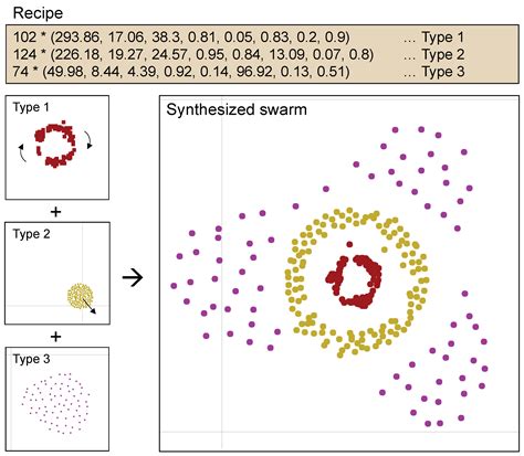 Exploration Of Swarm Dynamics Emerging From Asymmetry