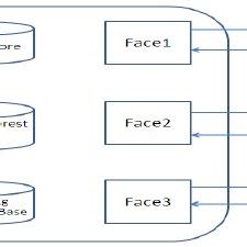 The Model Of CCN Node Download Scientific Diagram