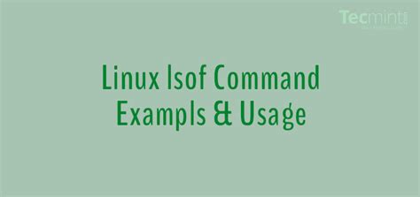10 Lsof List Of Open Files Command Examples In Linux