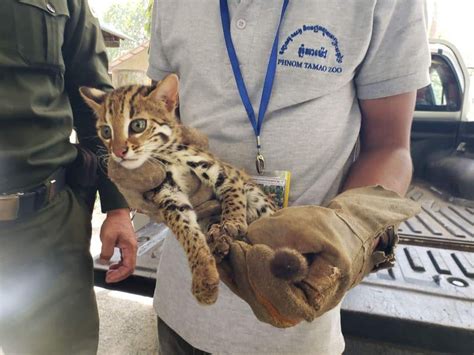 លោក នេត្រ ភក្ត្រា