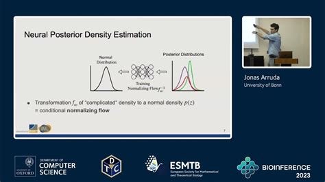 Amortized Approach To Non Linear Mixed Effects Modelling With Neural Density Posterior
