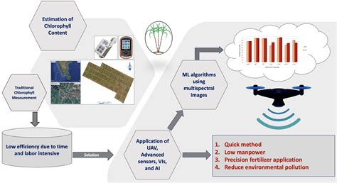 Remote Sensing Free Full Text Predicting Canopy Chlorophyll Content In Sugarcane Crops Using