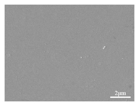 sem micrograph of 63s glass hanw scaffolds containing a 0 wt b