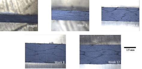 18 Cross Section Microscopic Pictures Of Composites With Epoxy Resin