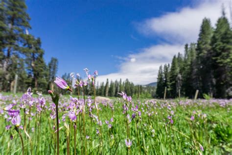 Sierra Vista Scenic Byway