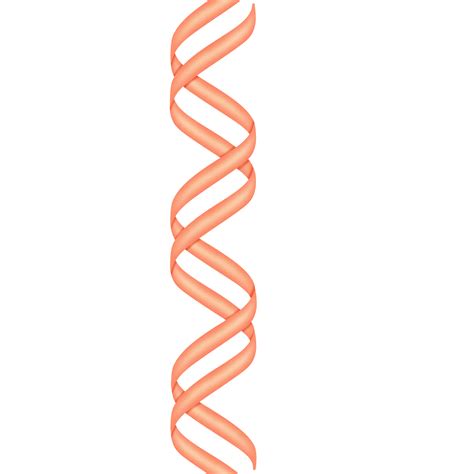 Dna Double Helix Structure Illustration 48332215 Png