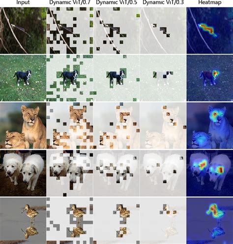 Figure 7 From Bridging The Gaps Between Token Pruning And Full Pre Training Via Masked Fine