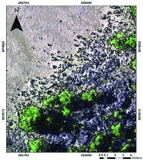 The Result Of Obia Classification Exported As Vector Shape Files With Download Scientific