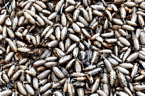 Easy Smart Contract Debugging With Truffles Consolelog Hackernoon