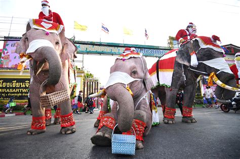 Mga Nag Aalaga Ng Elepante Sa Thailand Nagbihis Santa Claus” Para Sa Primary School Pinoy