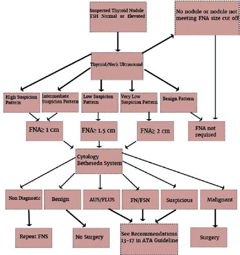 Approach To Thyroid Nodule Based On Ata Guideline [51] Download Scientific Diagram