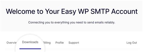 Installing The Pro Plugin Easy Wp Smtp
