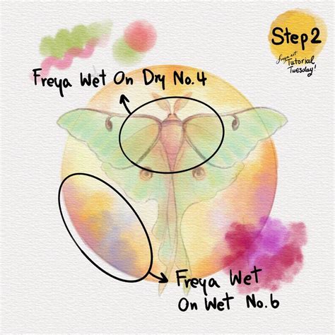 Luna Moth Watercolor Tutorial For Procreate
