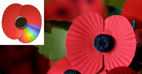Lgbt Rainbow Poppy Met With Anger On Remembrance Day Pinknews