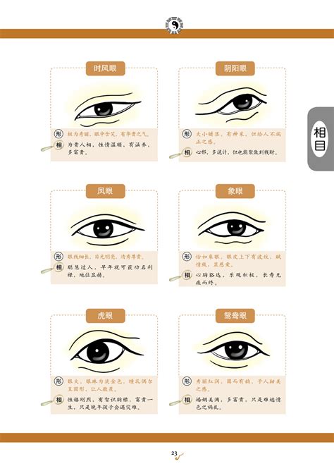 龙相极贵面相 龙相极贵 极贵 第6页 大山谷图库