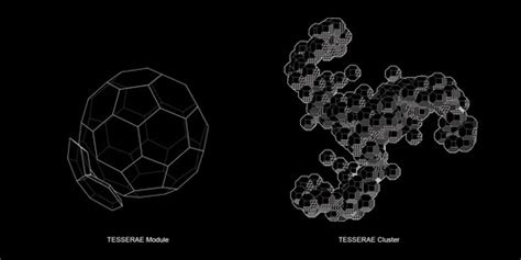 Architecture For Inhabiting Space Tessellated Reconfigurable Structures For Adaptive