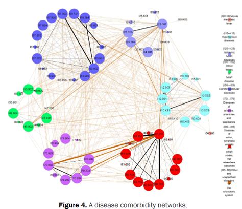 recognition of disease comorbidity medication patterns based on network