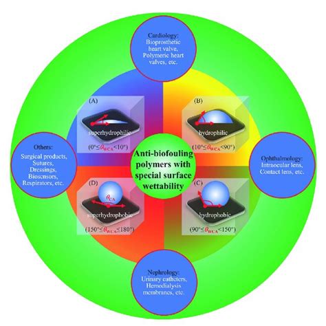 Anti Biofouling Polymers With Different Surface Wettability For Various