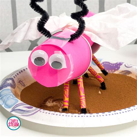 Life Cycle Of A Plant Three Engaging Activities For Teaching Simply