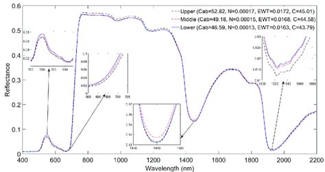 2 Mean Leaf Spectral Reflectance At Each Canopy Position For The Pooled Download Scientific