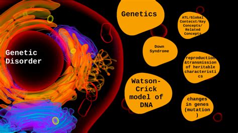 Genetic Disorder By Sahr Ibrahim On Prezi