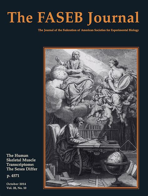 The Human Skeletal Muscle Transcriptome Sex Differences Alternative Splicing And Tissue