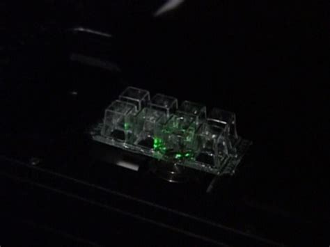 Video Measuring Tcr Pmhc Binding In Situ Using A Fret Based Microscopy Assay