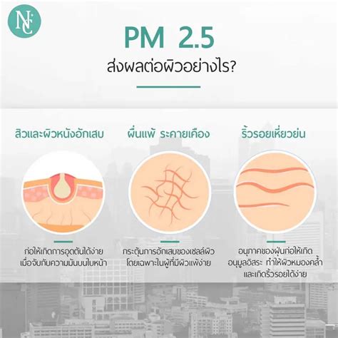 ฝุ่นพิษทำร้ายผิว Pm2 5 ตัวการผิวเสีย หน้าแก่ก่อนวัย