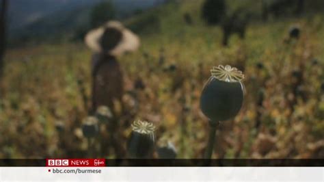 ဒေါ်အောင်ဆန်းစုကြည် Bbc News မြန်မာ