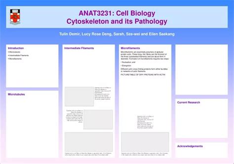 Ppt Acknowledgements Powerpoint Presentation Free Download Id 1010541