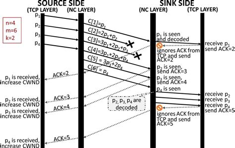 Network Coding Process Download Scientific Diagram