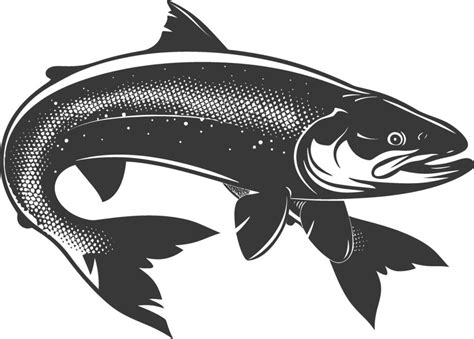 King Salmon Vector Art Icons And Graphics For Free Download