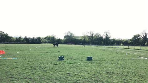 Intro C 2016 Youtube