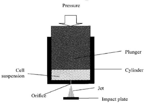 Proteinisolation By Yeni Pptx