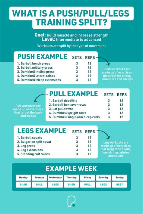 The Ultimate Guide To Creating An Info Sheet For Your Website Or Blog Info Board