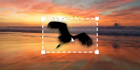 The Adobe After Effects And Nuke Vfx Production Bundle Stacksocial