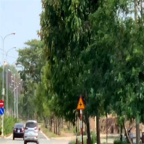 Traffic Sign Detection Object Detection Dataset And Pre Trained Model