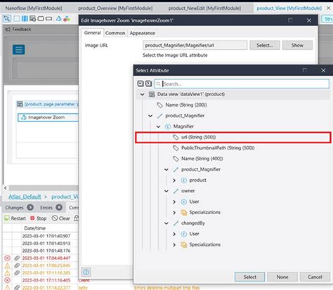 Mendix Widgets Image Magnifier