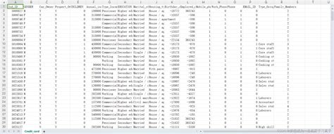 机器学习每周挑战——信用卡申请用户数据分析 Csdn博客