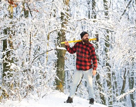 A Man In A Winter Forest A Woodman Working In The Forest Man