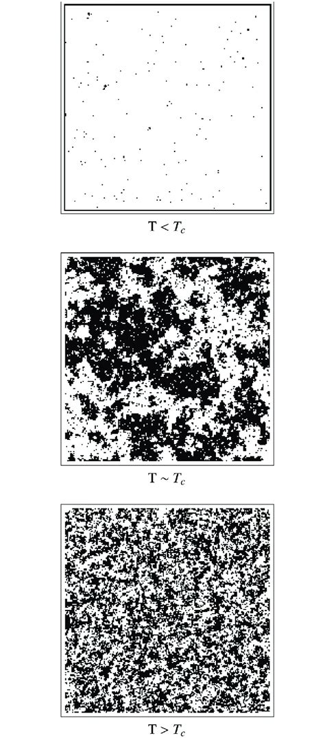 Typical Spatial Configurations For A 2 Dimensional Ising Model Three Download Scientific