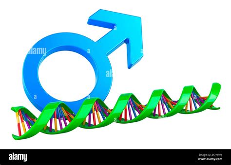 Dna Spiral With Male Gender Symbol Paternity Dna Testing Concept 3d