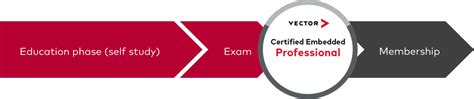 Vector Certified Embedded Professional Cep Vector