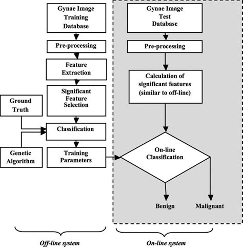 Algorithm Based Classifier Parameter Tuning For Automatic Ovarian