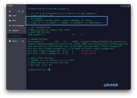 掌握 Dns 查询技巧,dig 命令基本用法 系统极客 掌握 Dns 查询技巧,dig 命令基本用法 系统极客