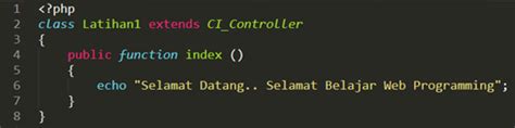 penggunaan codeigniter pada controller model dan view meryarjohann