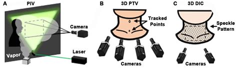 Coupled Mechanics In Skin Interfaced Electronics Via Computer Vision Methods