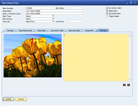 Item Master Data SAP Business One SAP Business One