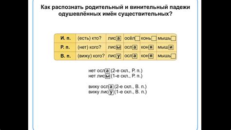 Окончания имен существительных 1 го 2 го и3 го склонения по падежам Youtube